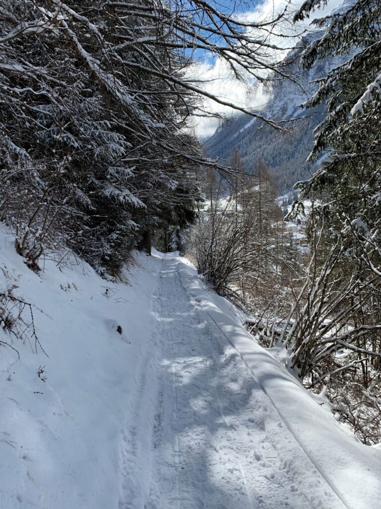 Walks in Graubünden - Spectacular Switzerland Uncovered
